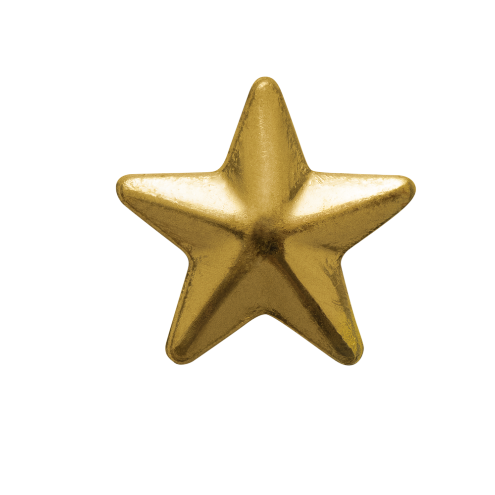 Twinkles 24k Yellow Gold Tooth Gems Large Star